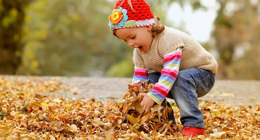 Our Project for the Autumn Term is ‘A World of Plants and trees ...