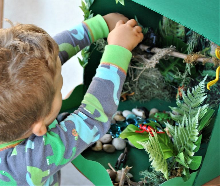 Our Project for the Spring Term is ‘A World of Plants and trees ...